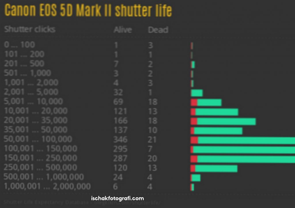 Cara Cek Shutter Count Canon - Ischak Fotografi