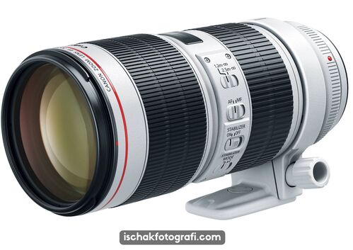 Rekomendasi Lensa Tele Canon Terbaik Untuk DSLR Dan Mirrorless - Ischak ...