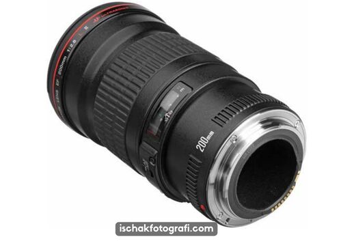 Rekomendasi Lensa Tele Canon Terbaik Untuk DSLR Dan Mirrorless - Ischak ...